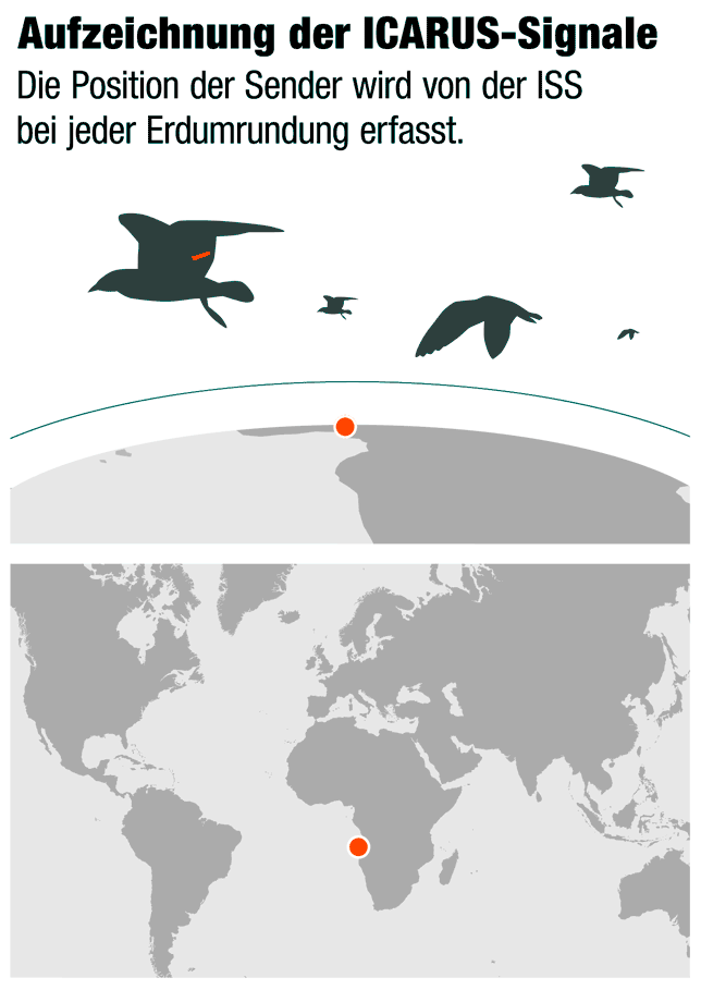 So funktioniert das ICARUS-System