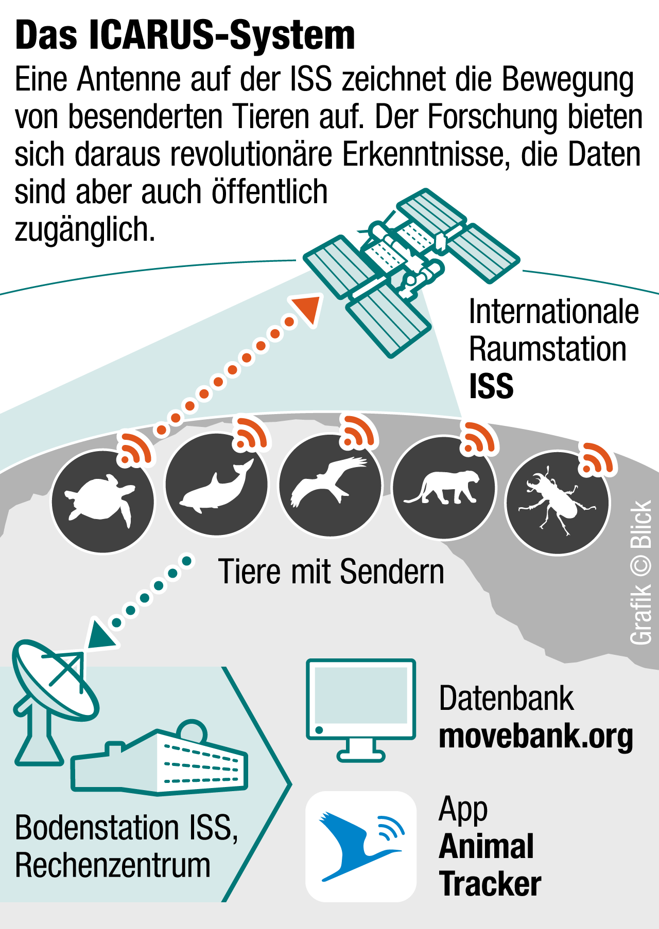 So funktioniert das ICARUS-System